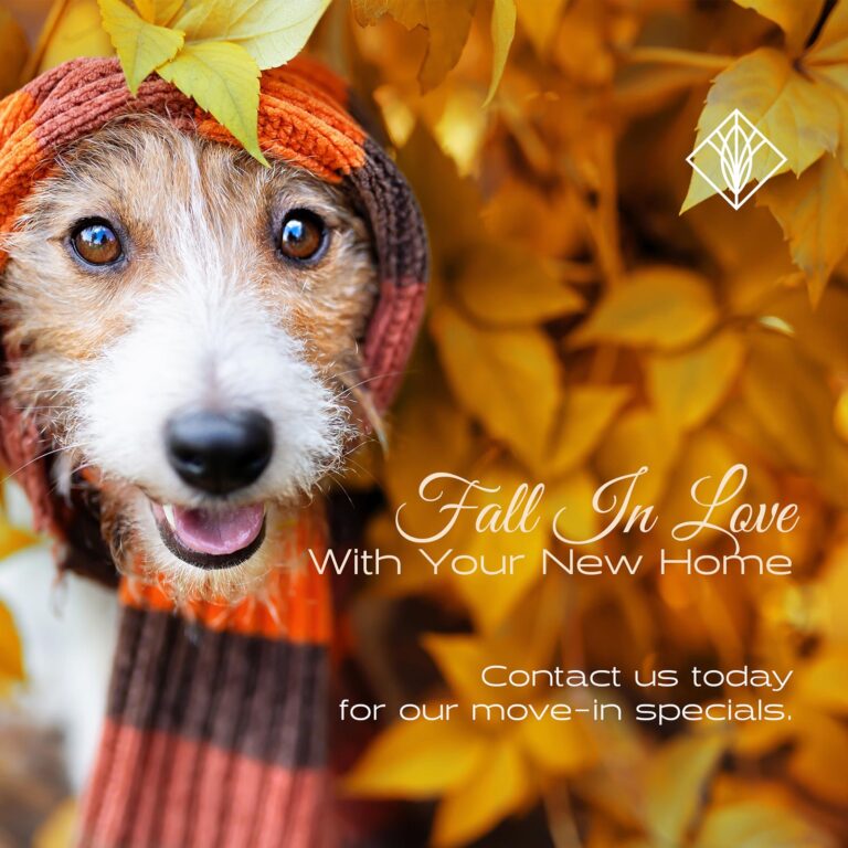 Forma Dallas – The Art of Living